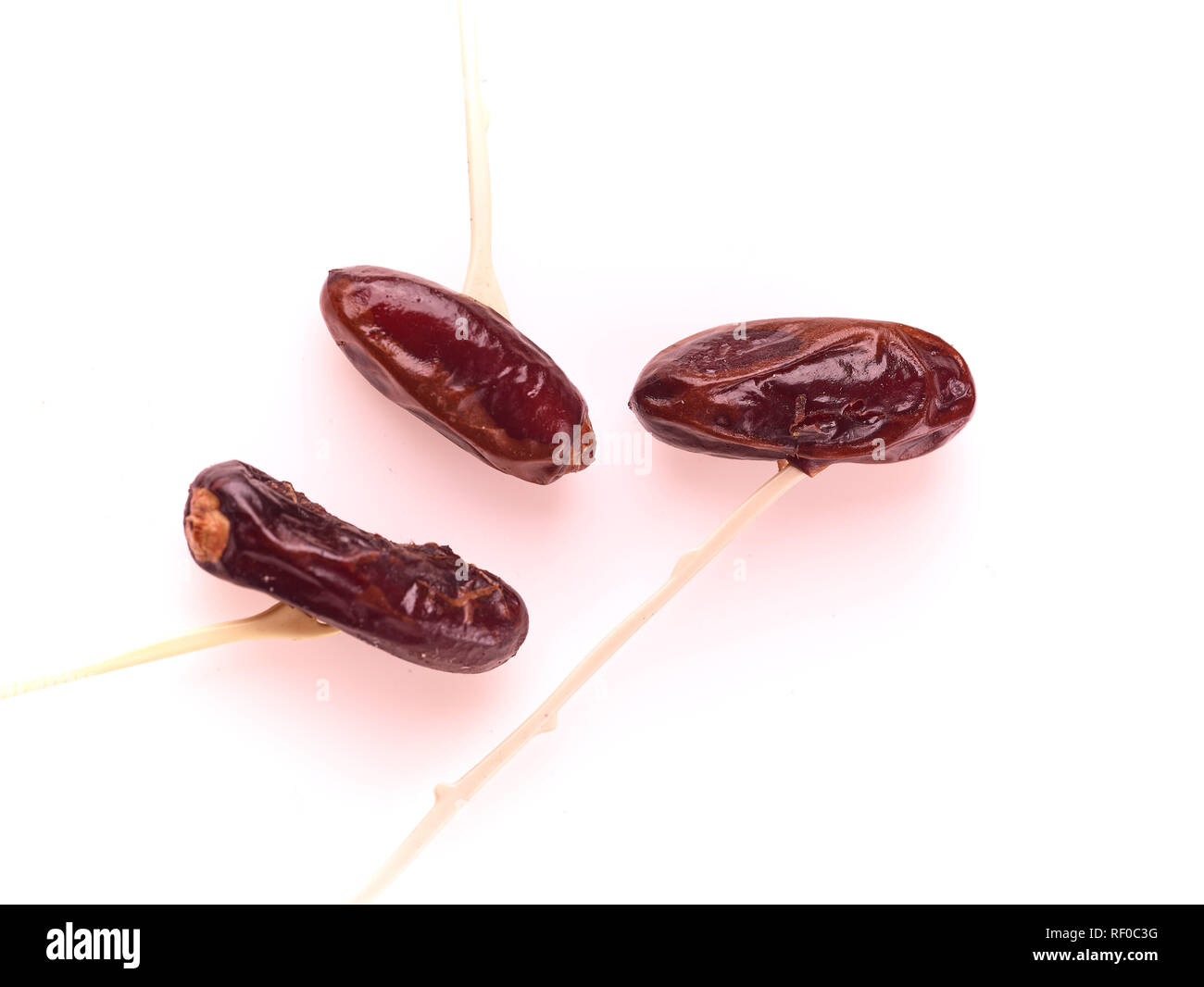 Date fruit with date pick , food still-life photograph Stock Photo - Alamy