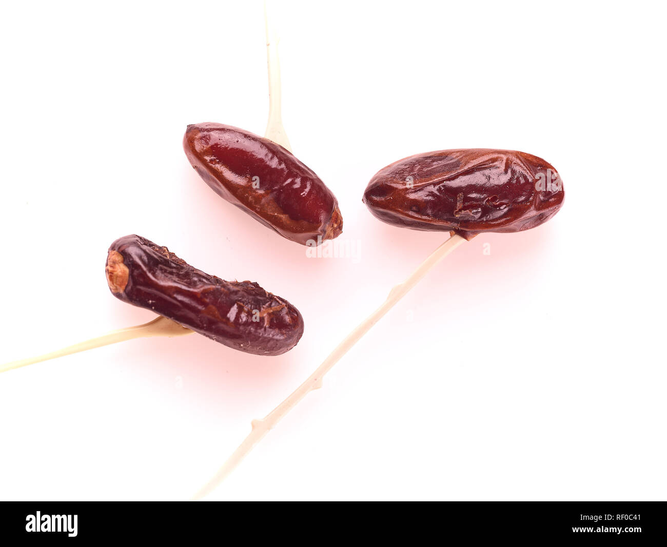 Date fruit with date pick , food still-life photograph Stock Photo - Alamy
