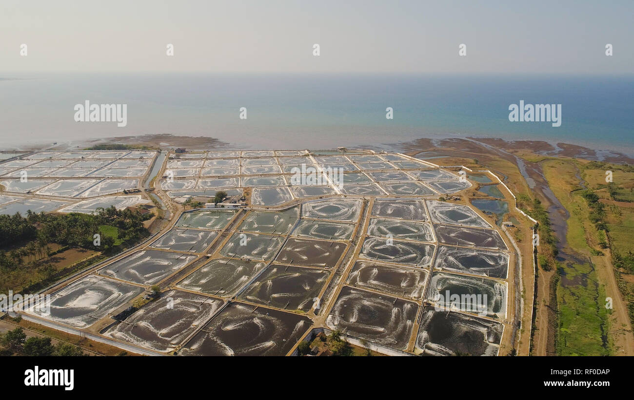 shrimp farm, prawn farming with with aerator pump oxygenation water ...