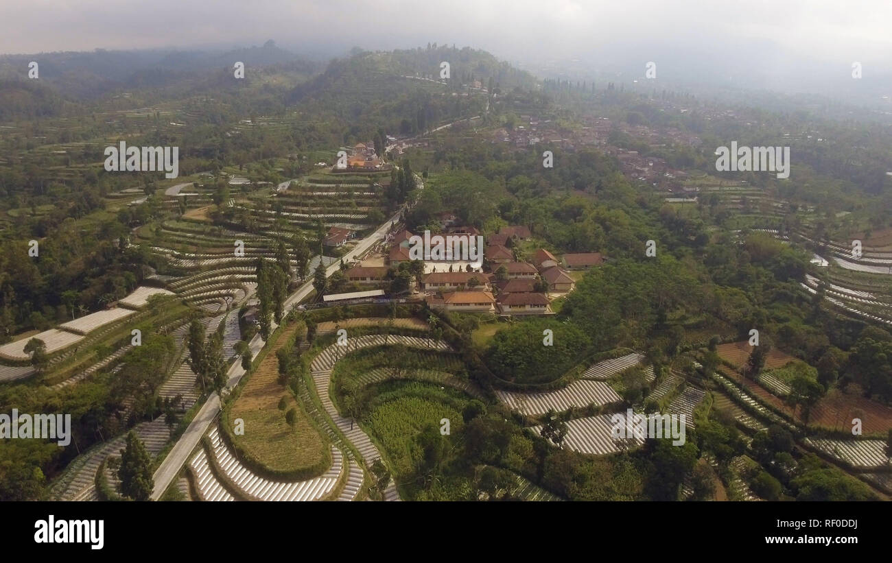 agricultural land in mountains rice terraces, fields with crops, trees ...
