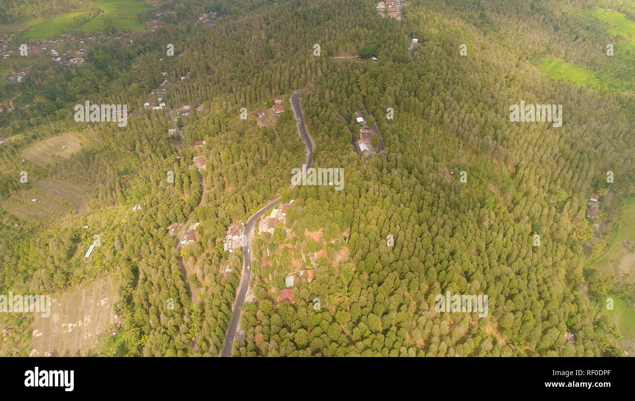 village among rice fields and terraces in Asia. aerial view farmland ...
