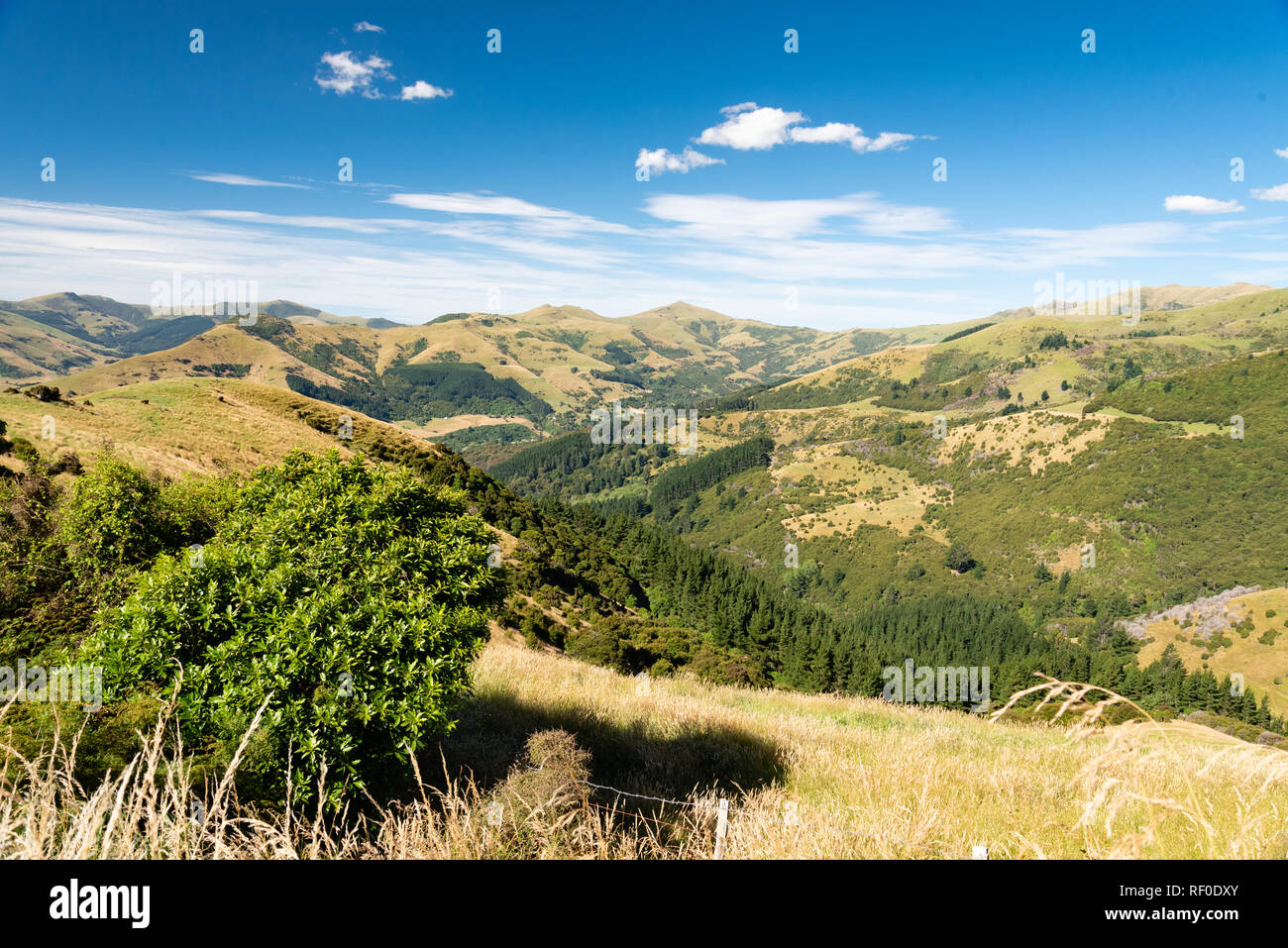 New zealand green landscape hi-res stock photography and images - Alamy