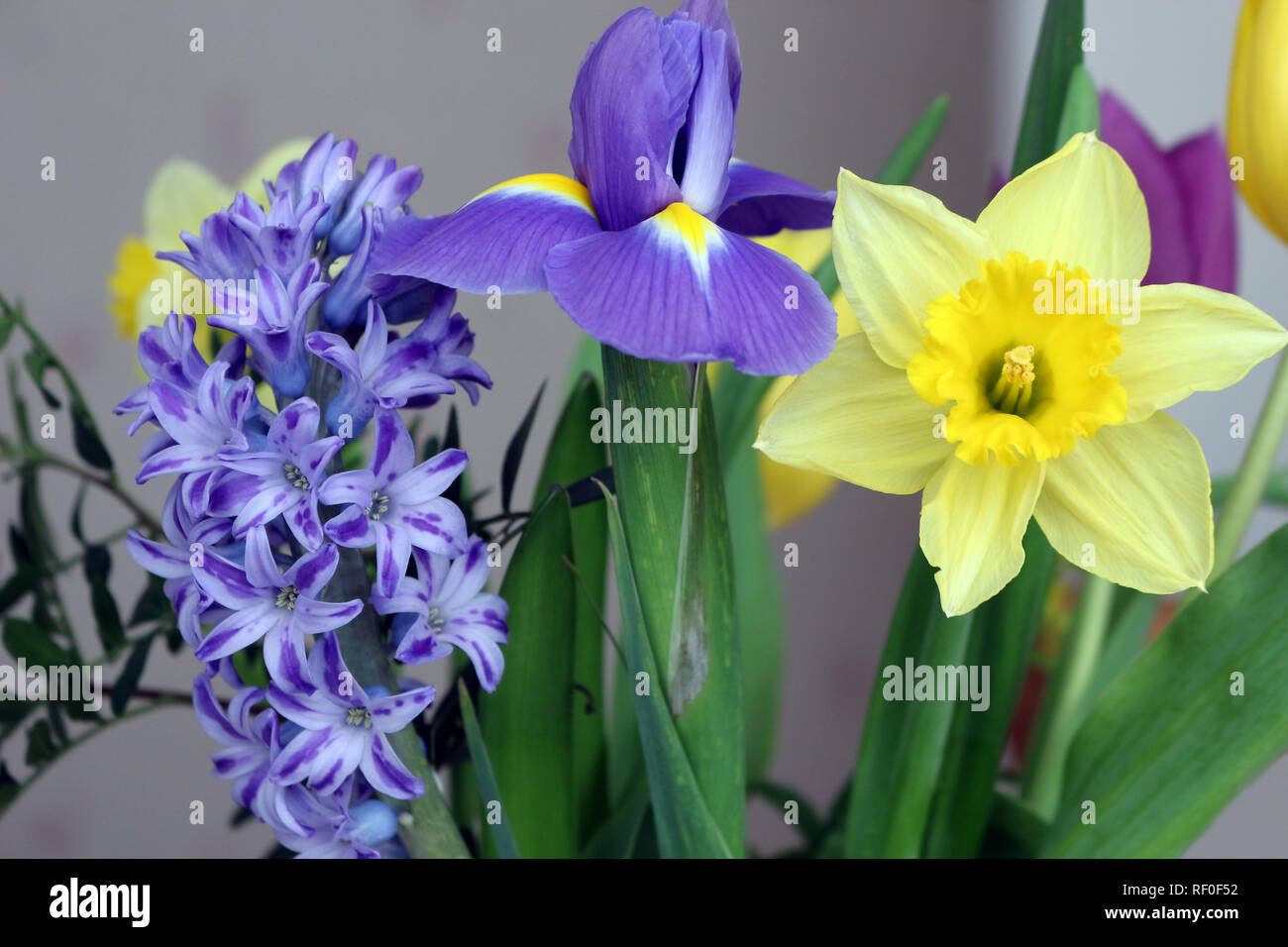 Spring Time Flower Arrangement Stock Photo - Alamy