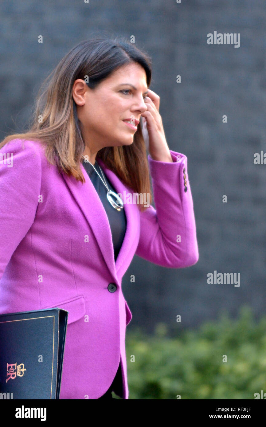 Caroline nokes hi-res stock photography and images - Alamy