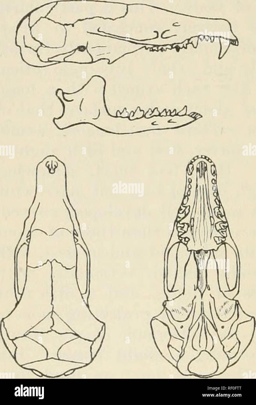 Museum case outline hi-res stock photography and images - Alamy