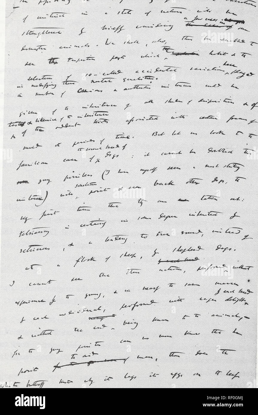 Charles darwin drawings hi-res stock photography and images - Alamy