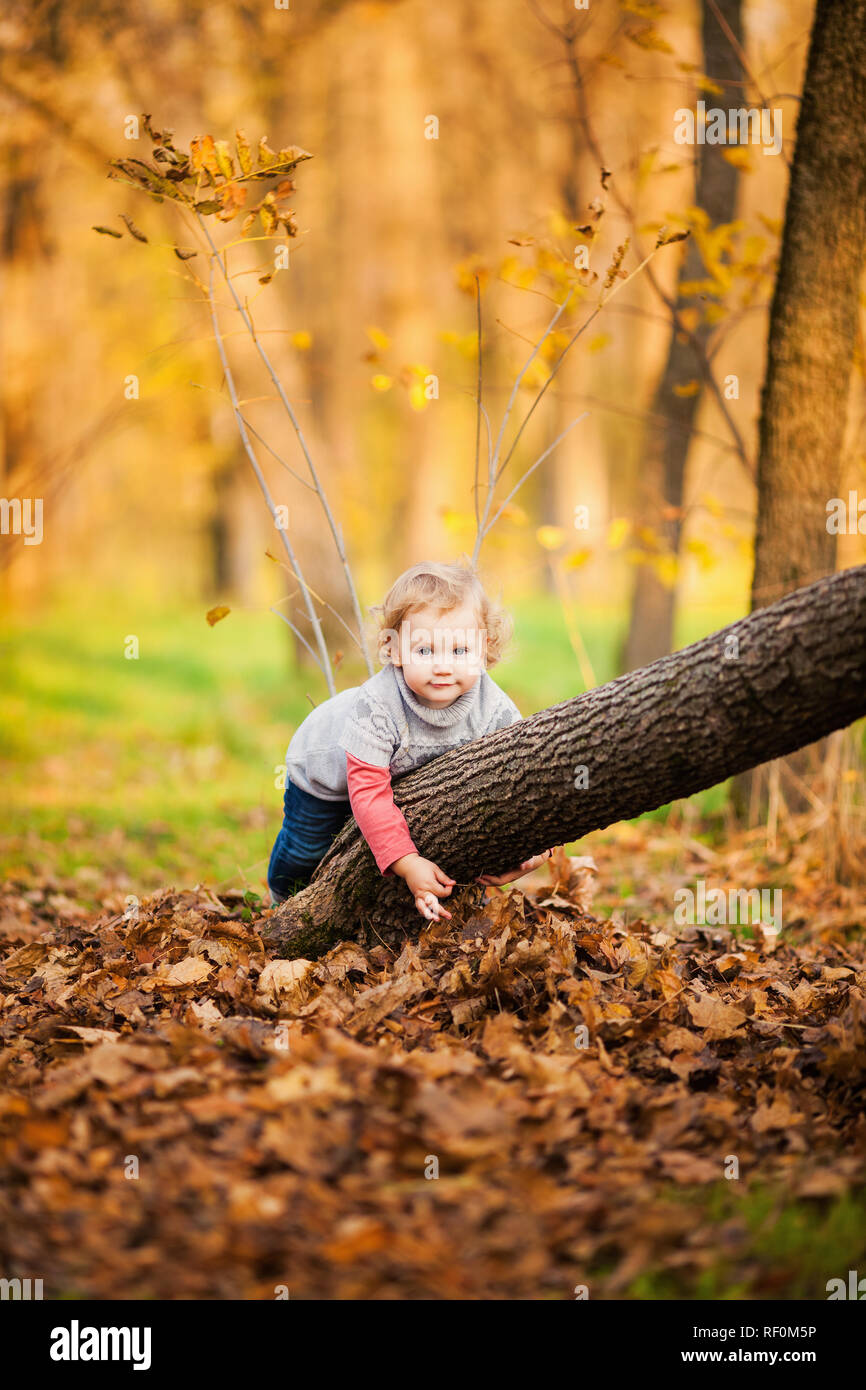 Adorable little girl on the tree with autumn leaves in the beauty park ...