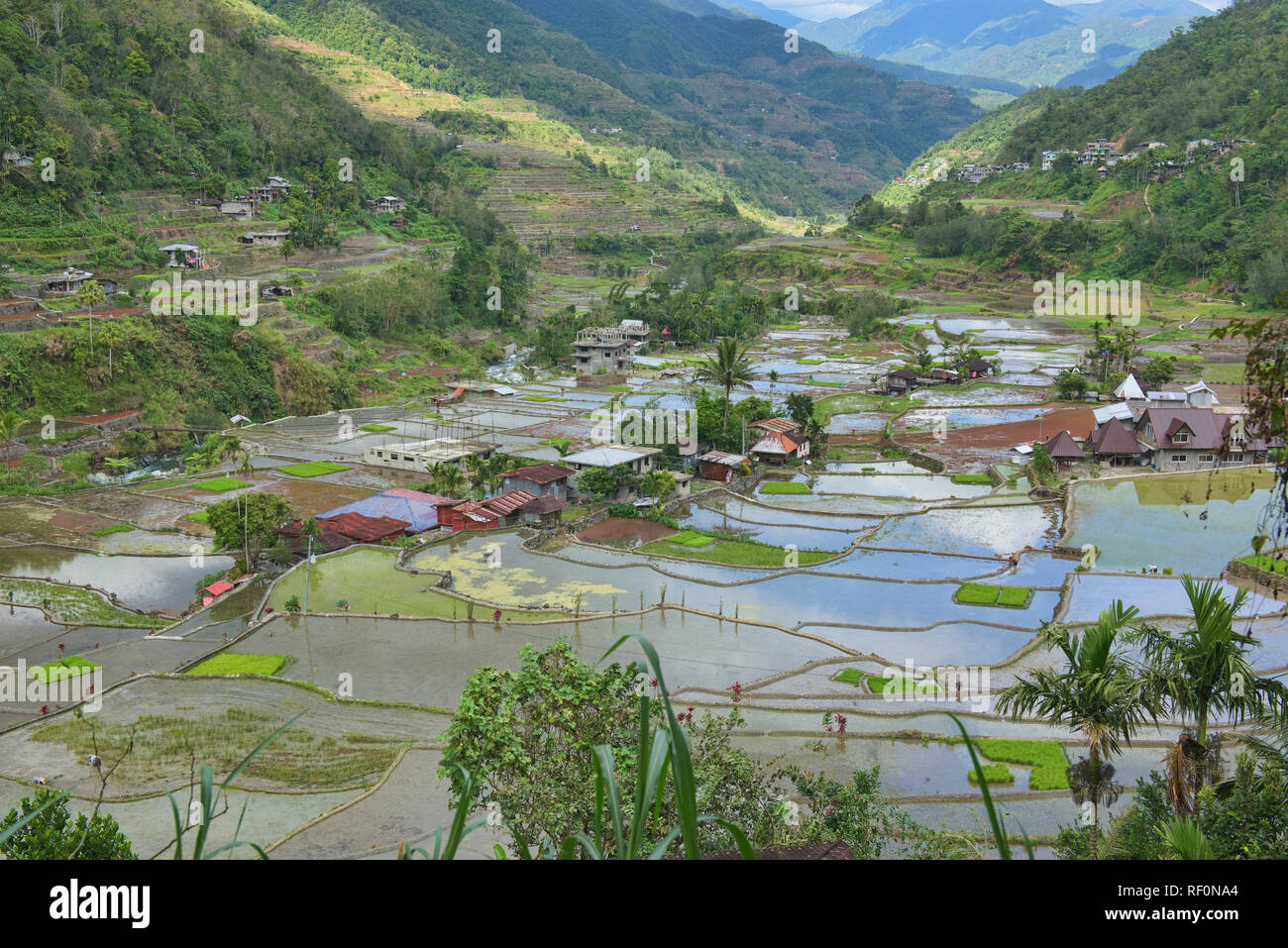 Banaue rice terraces philippines hi-res stock photography and images ...