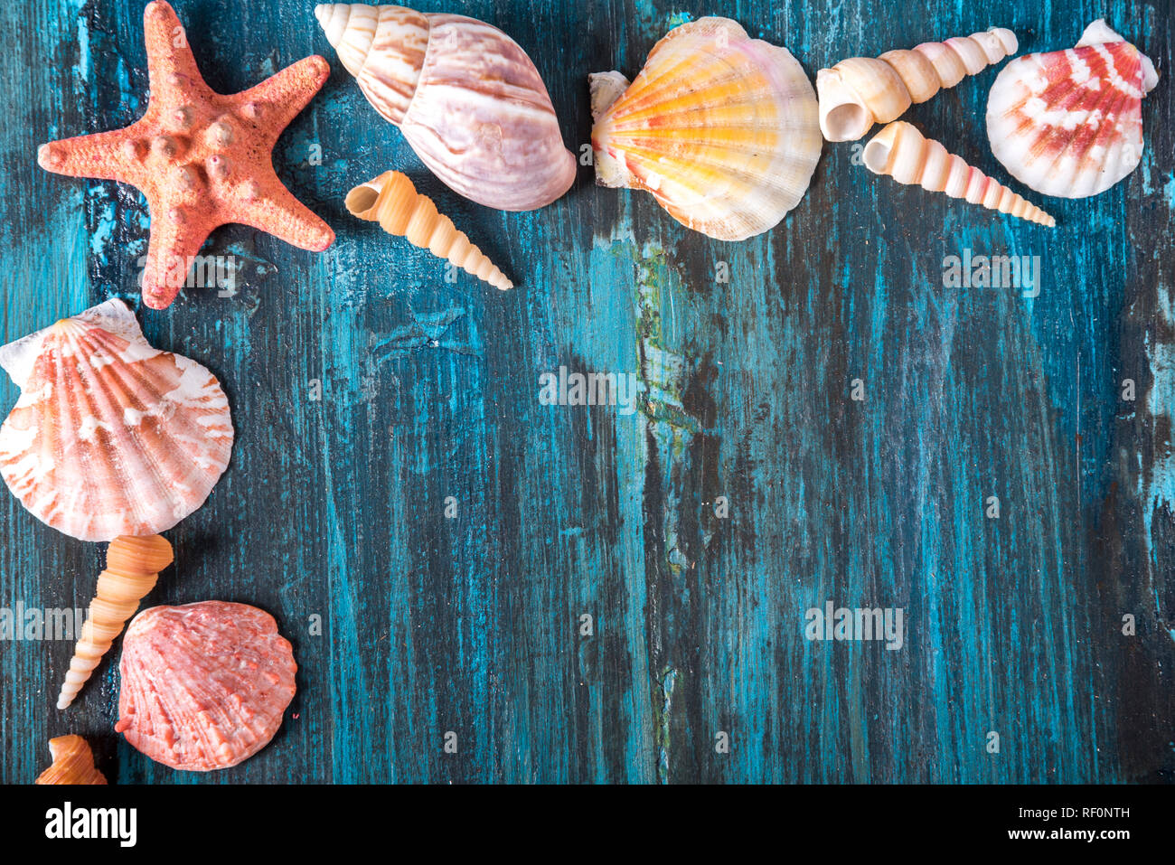 Seashell and star fish frame on rustic wooden texture background design ...