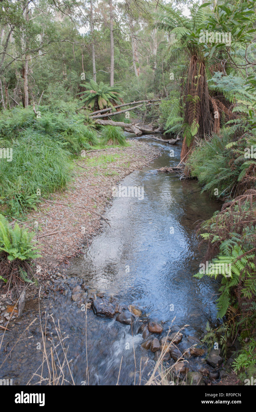 Yarra ranges hi-res stock photography and images - Alamy