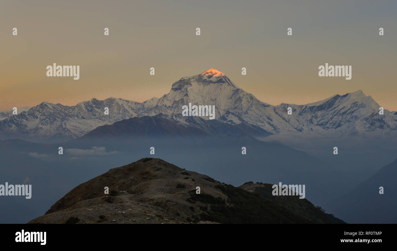 Peak of Nepal Annapurna Range under sun light in the dawn Stock Photo - Alamy