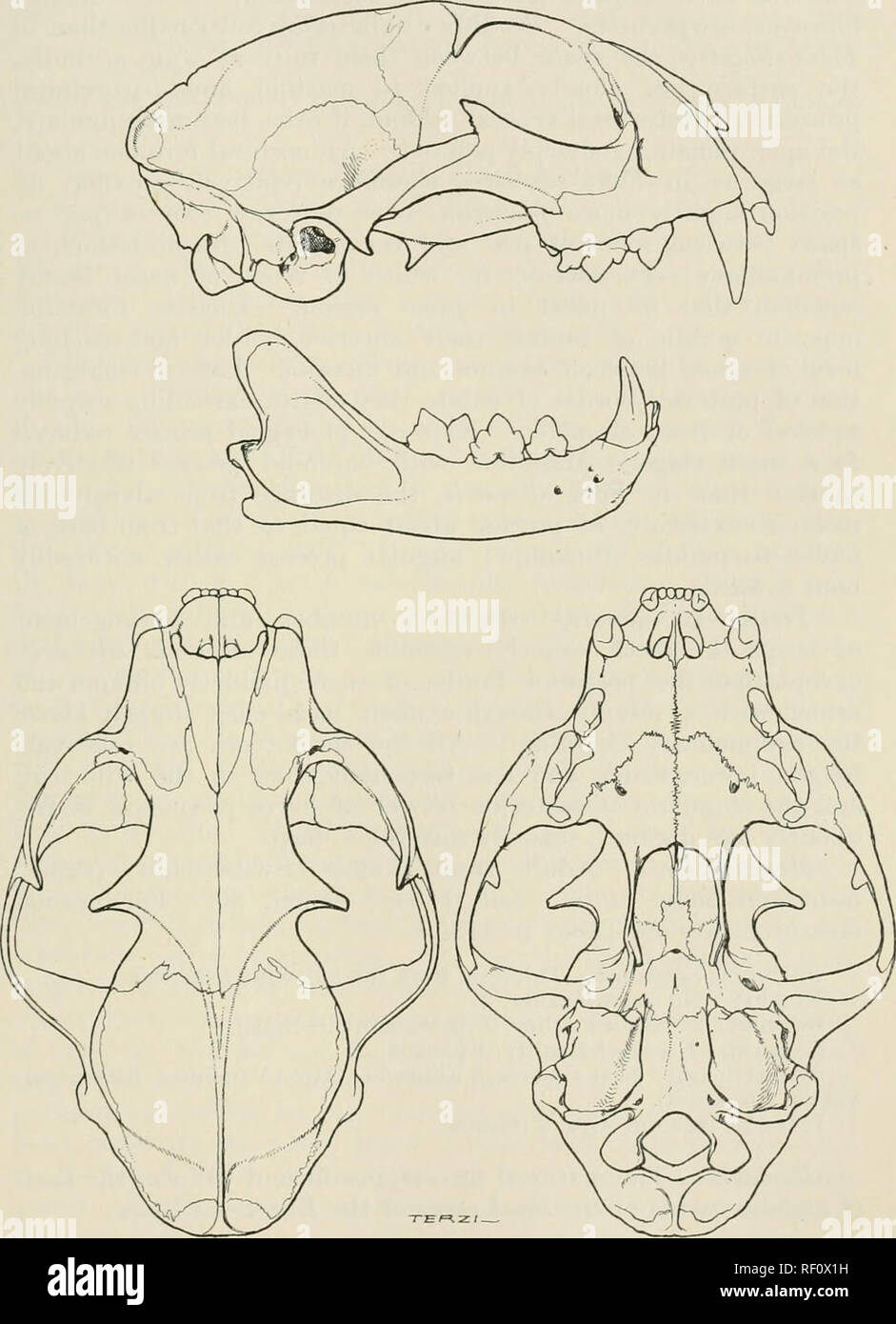 140 mm diameter hi-res stock photography and images - Alamy