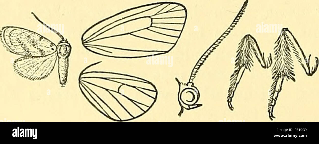 Paidia hi-res stock photography and images - Alamy