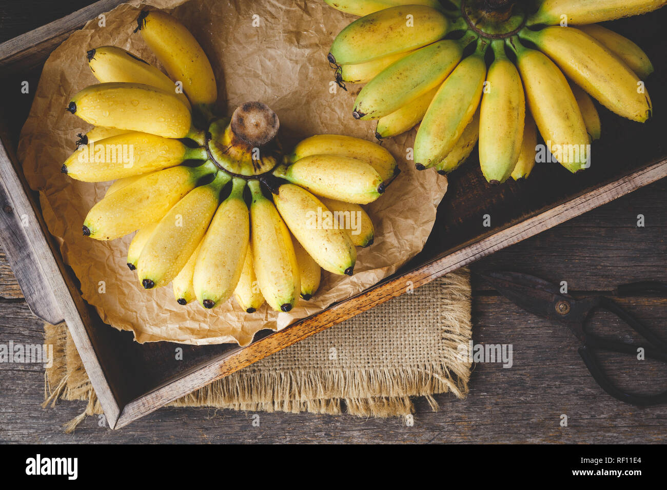 Ripe little bananas Stock Photo - Alamy