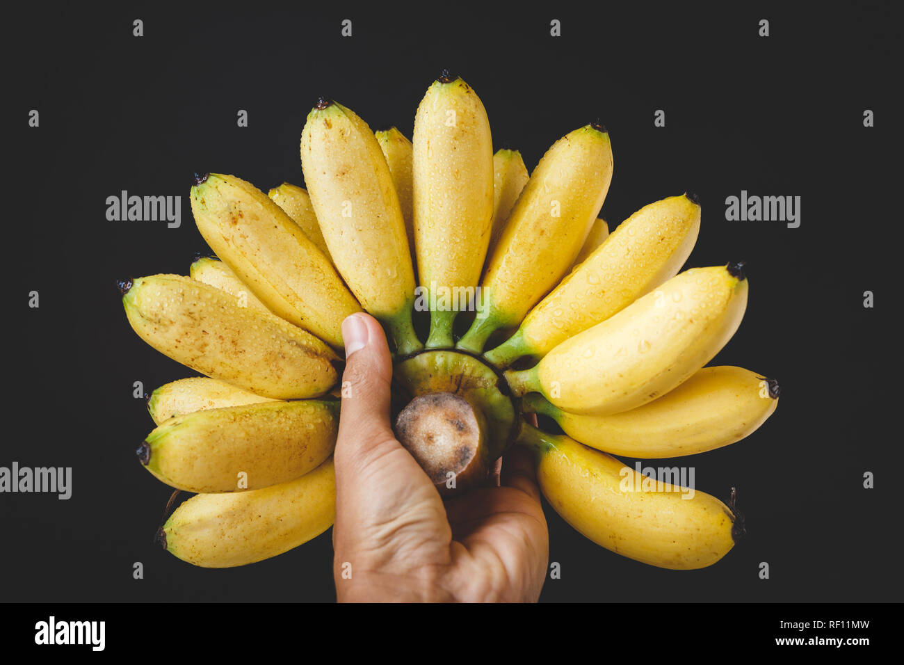 Ripe little bananas Stock Photo - Alamy