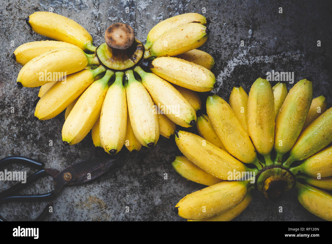 Ripe little bananas Stock Photo - Alamy