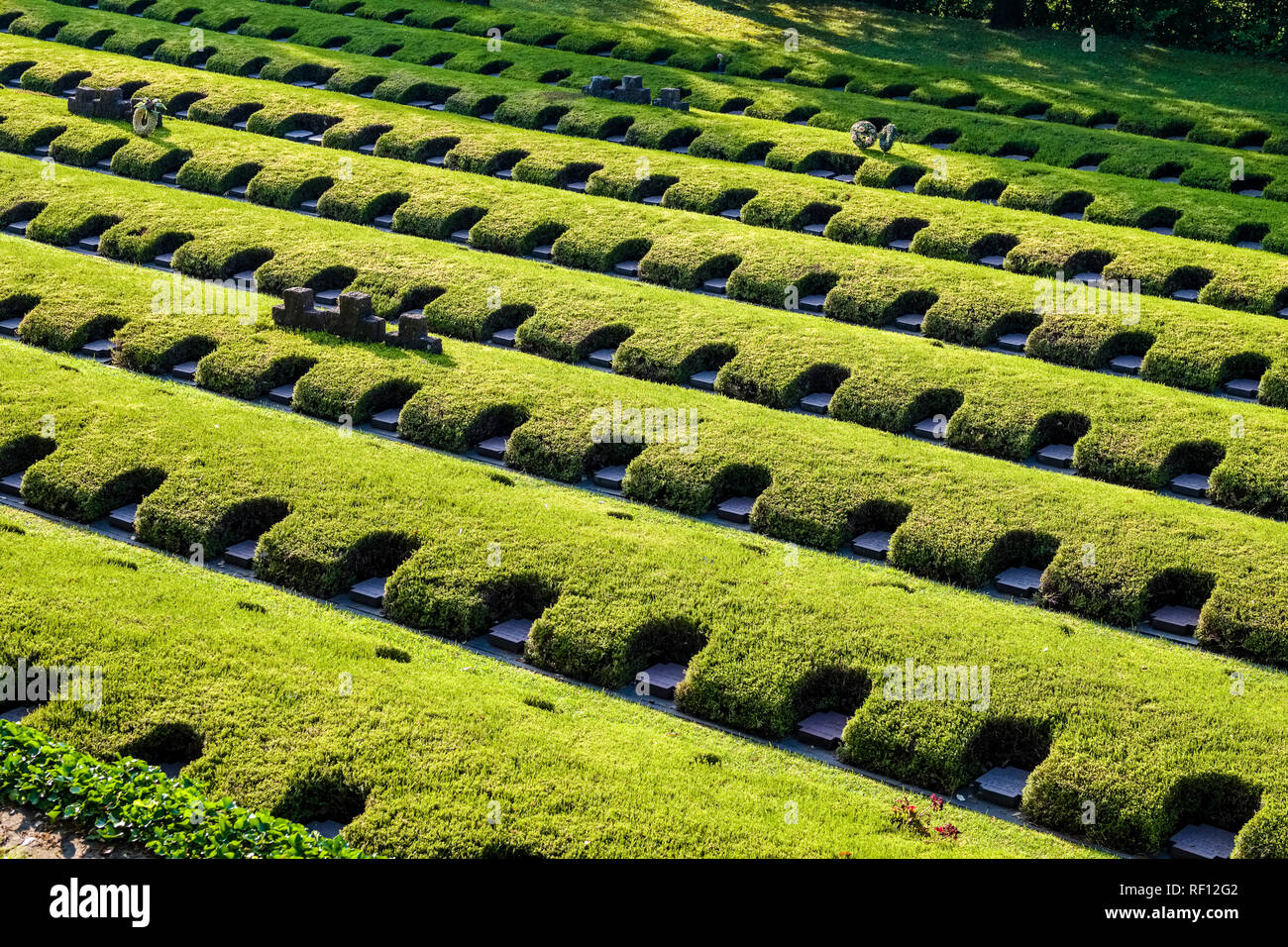 Costermano German war cemetery contains the graves of 21,951 German ...