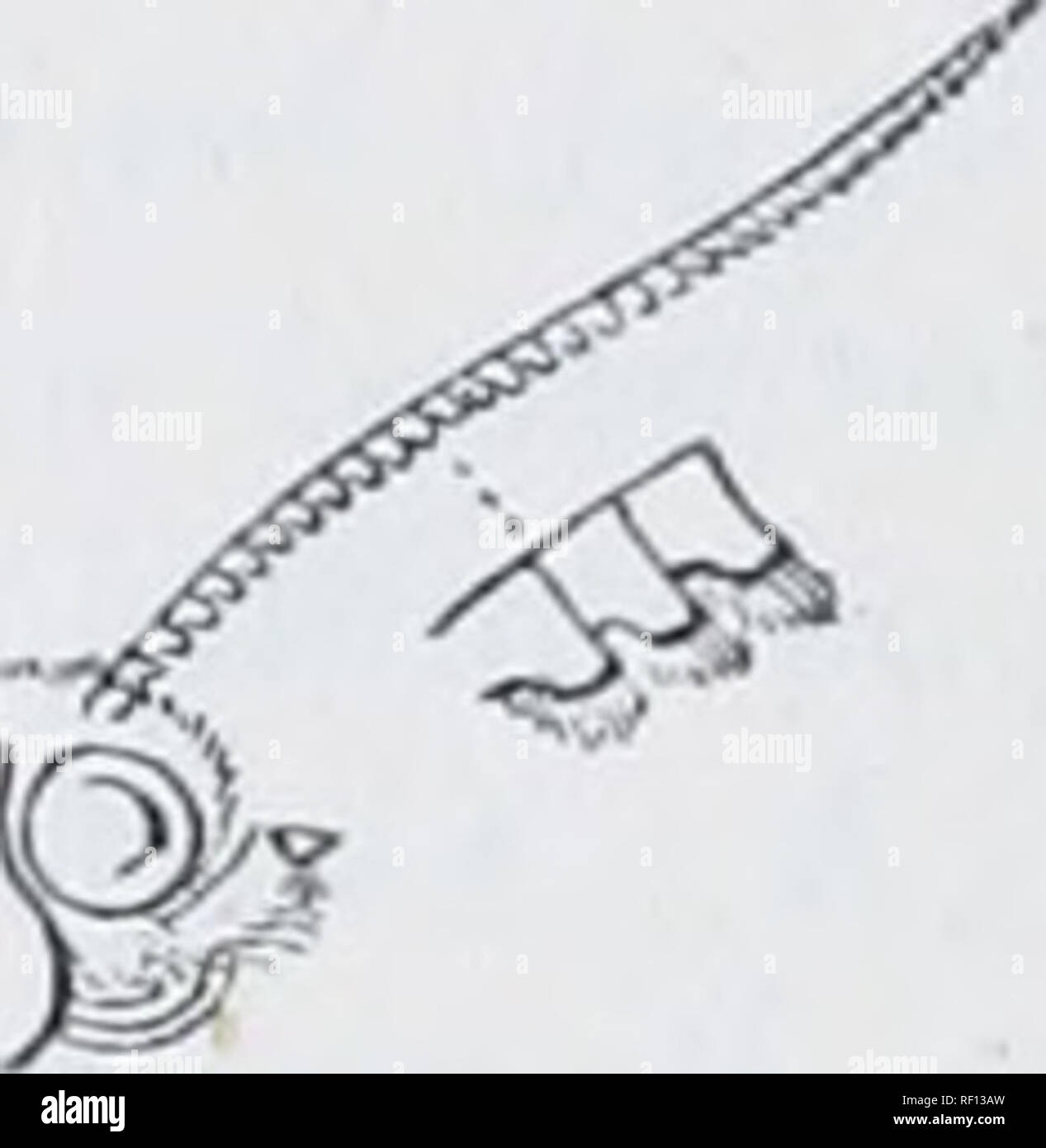 4283 series hi-res stock photography and images - Alamy