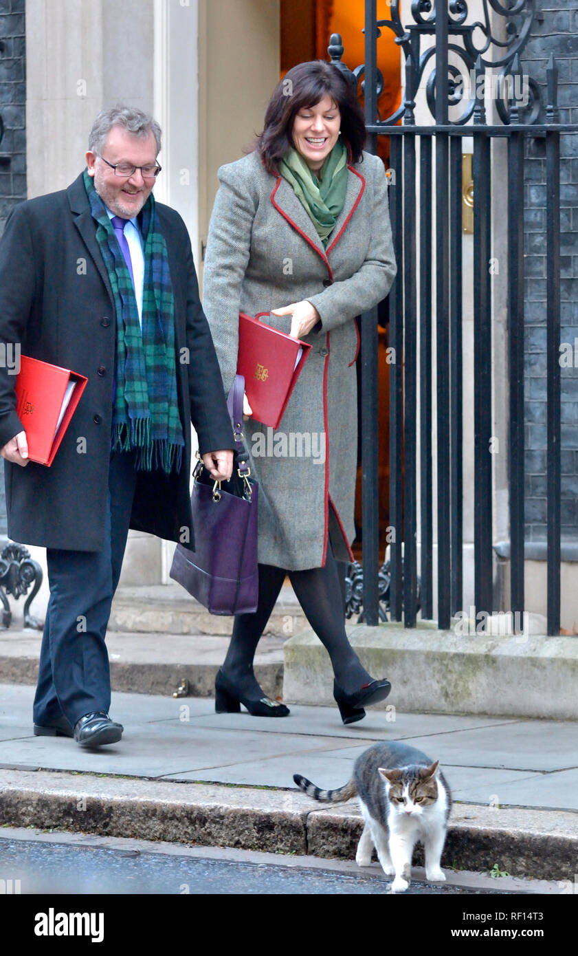 David Mundell MP (Con: Dumfriesshire, Clydesdale and Tweeddale ...