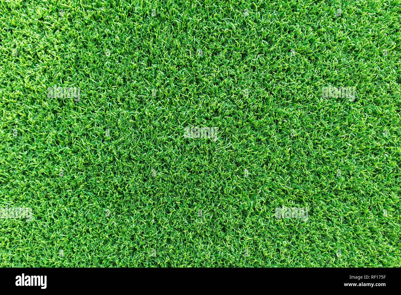 Grass texture background for golf course, soccer field or sports ...