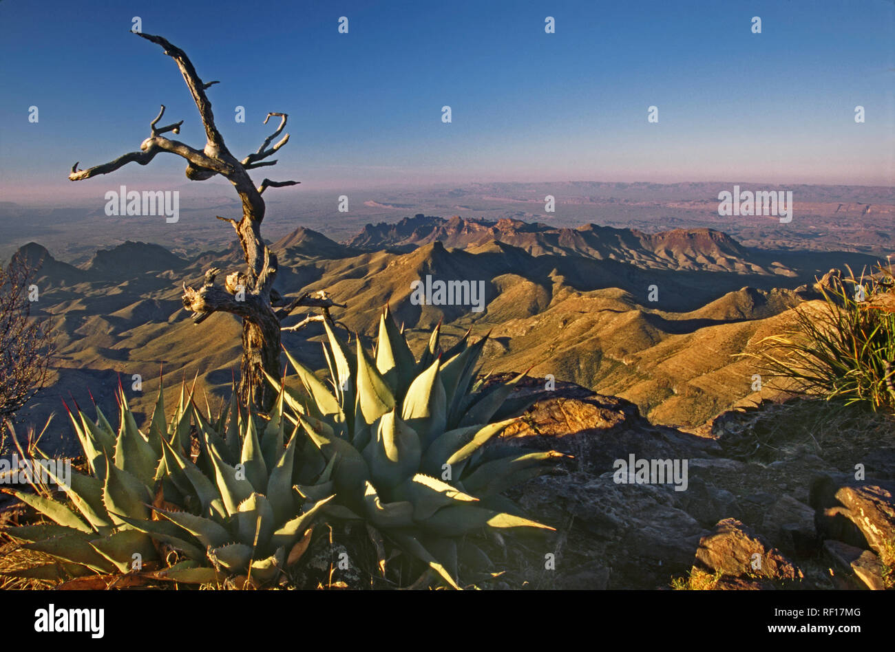 Chisos mts hi-res stock photography and images - Alamy