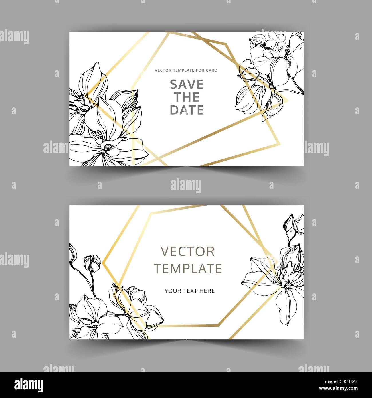 Vector Orchid flower. Black and white engraved ink art. Wedding background card floral ...