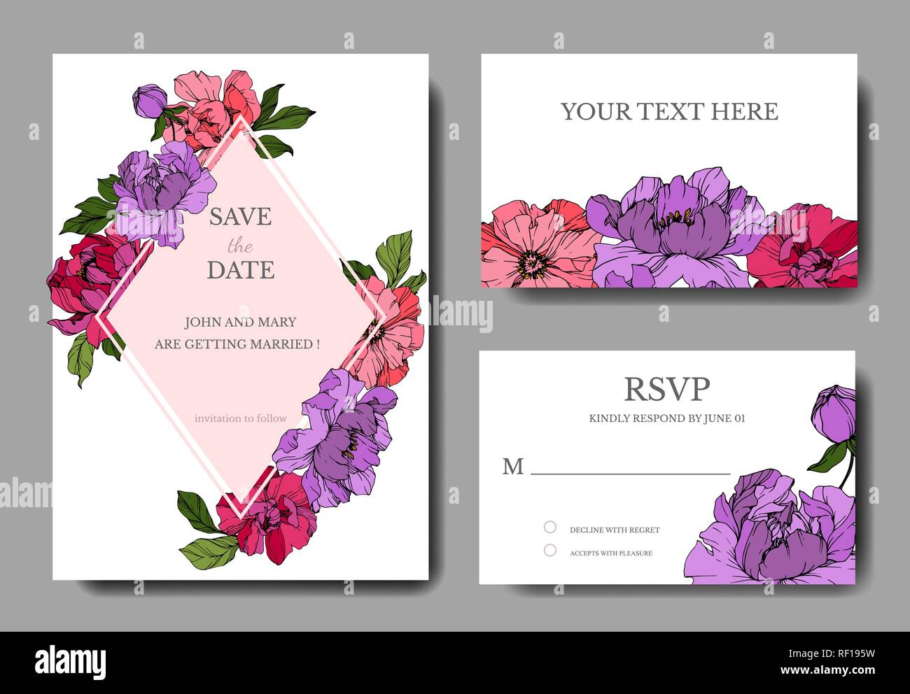 Vector Purple and pink peony. Floral botanical flower. Engraved ink art. Wedding background card ...