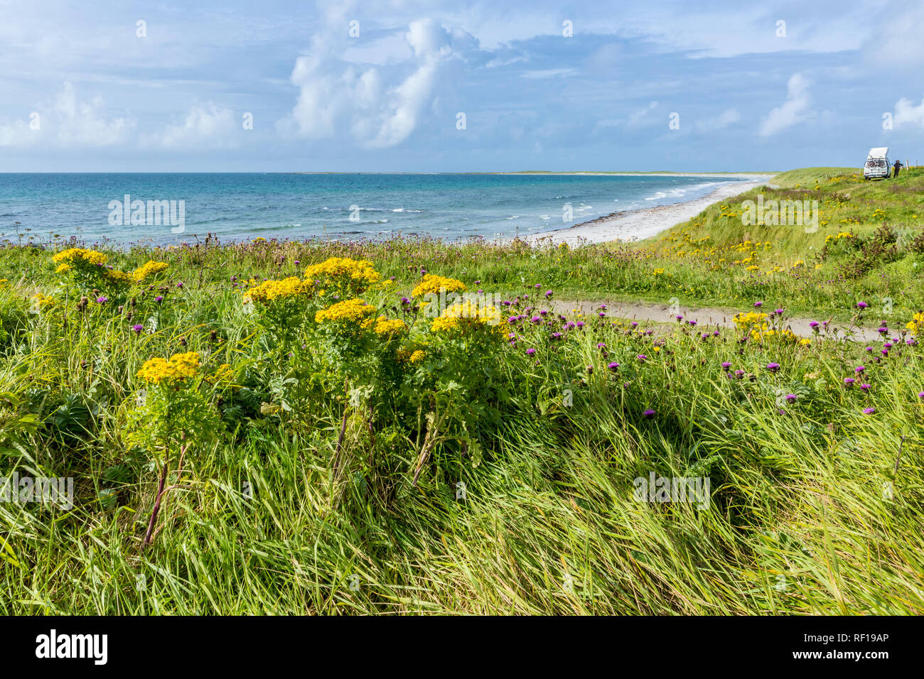 Camper van parked in green dunes overlooking beach and ocean at ...