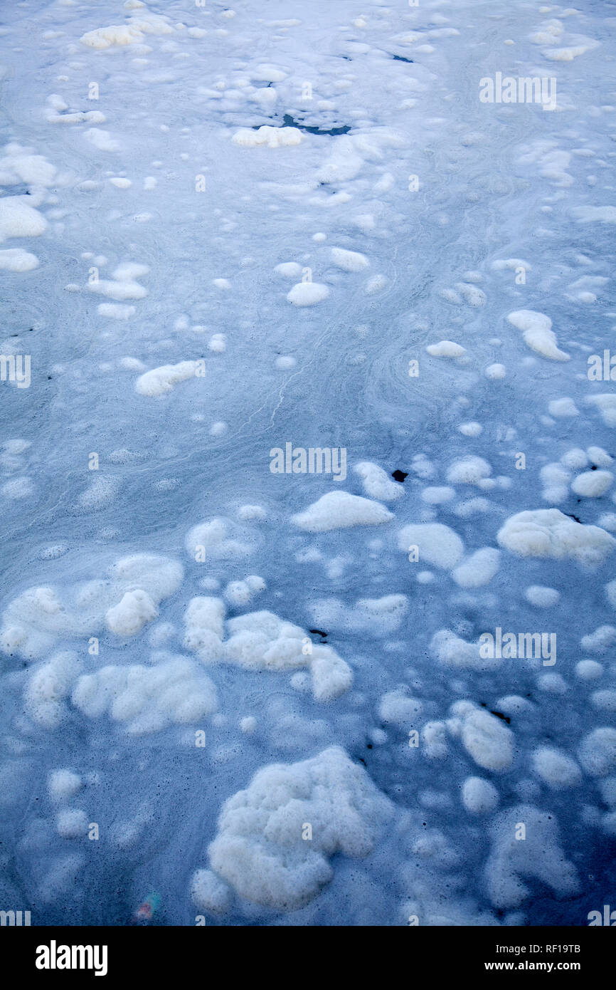 Sea scum hi-res stock photography and images - Alamy
