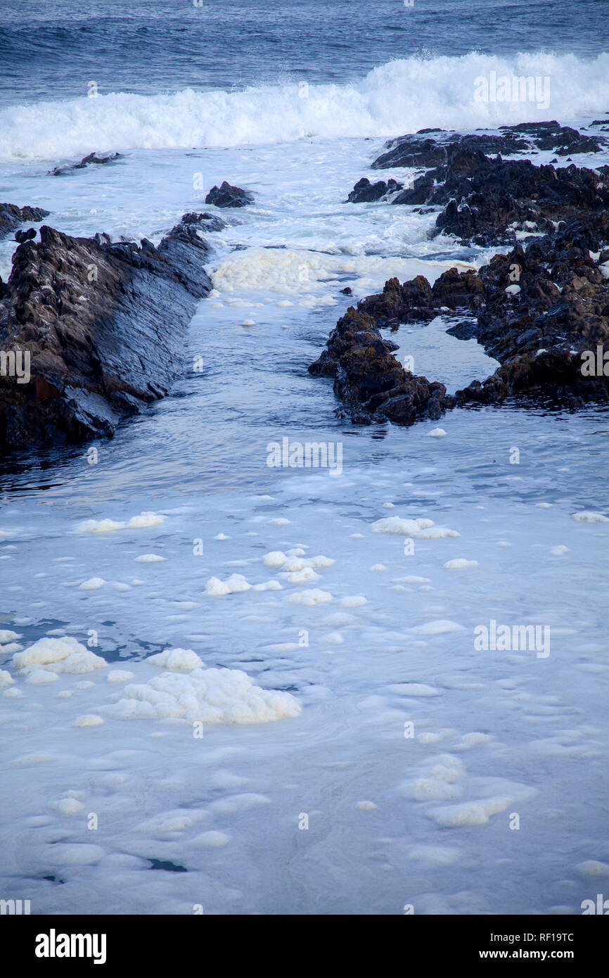Sea Froth and Rocks Stock Photo - Alamy
