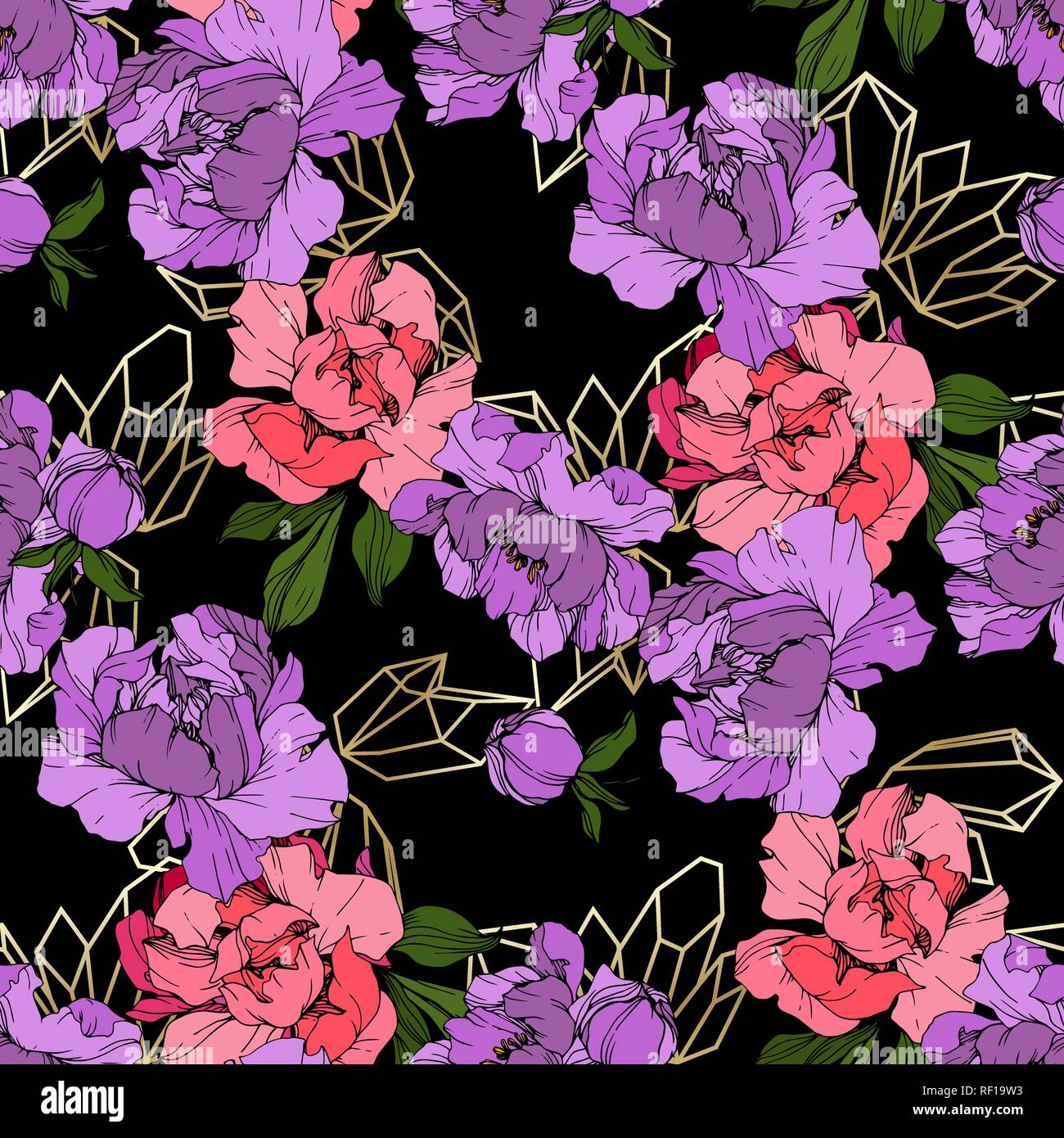 Vector Pink and purple peony. Floral botanical flower. Wild spring leaf ...