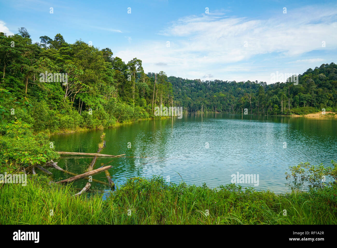 Lake surrounded by beautiful green Stock Photo - Alamy