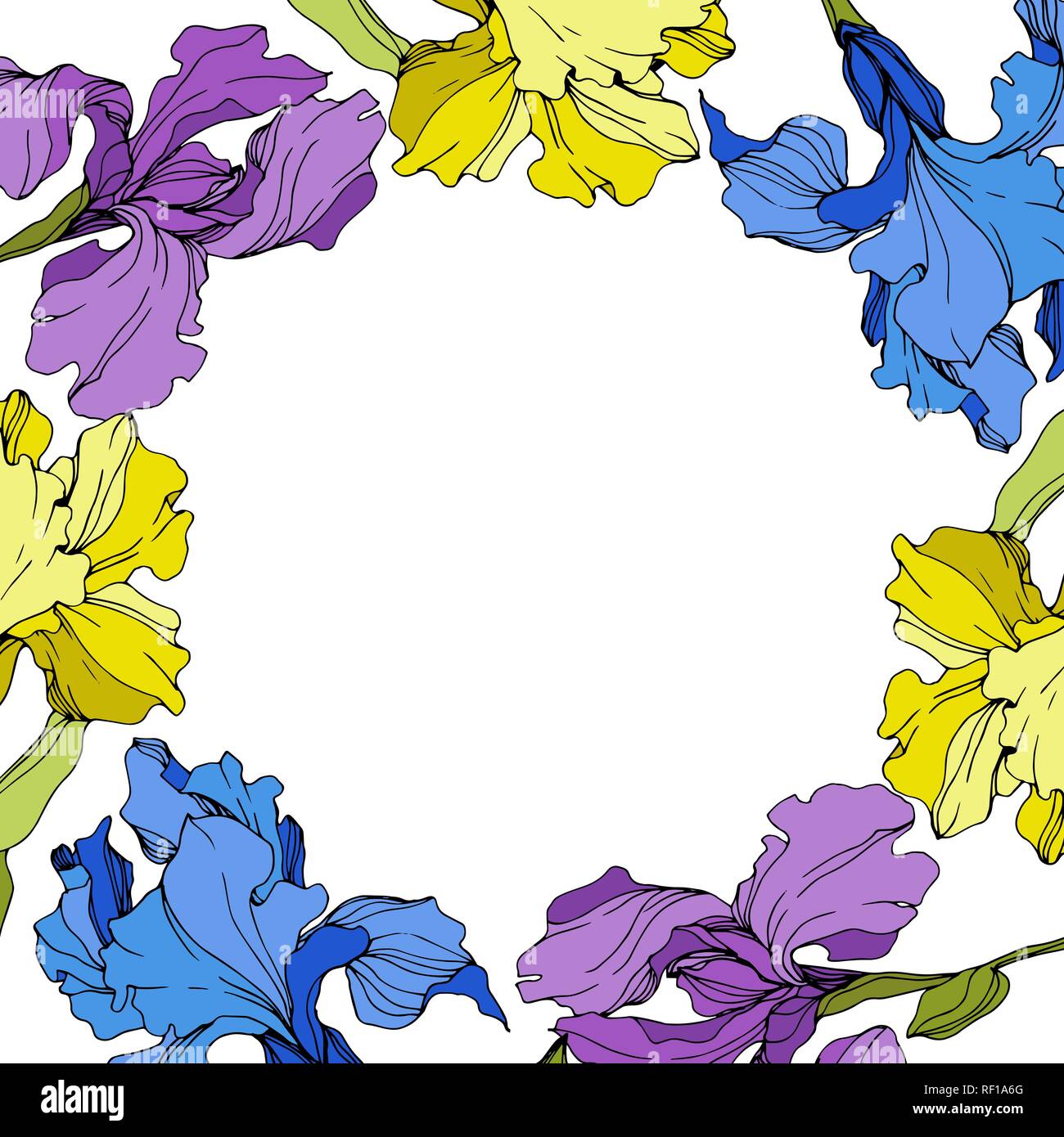 Irises border garden Stock Vector Images - Alamy
