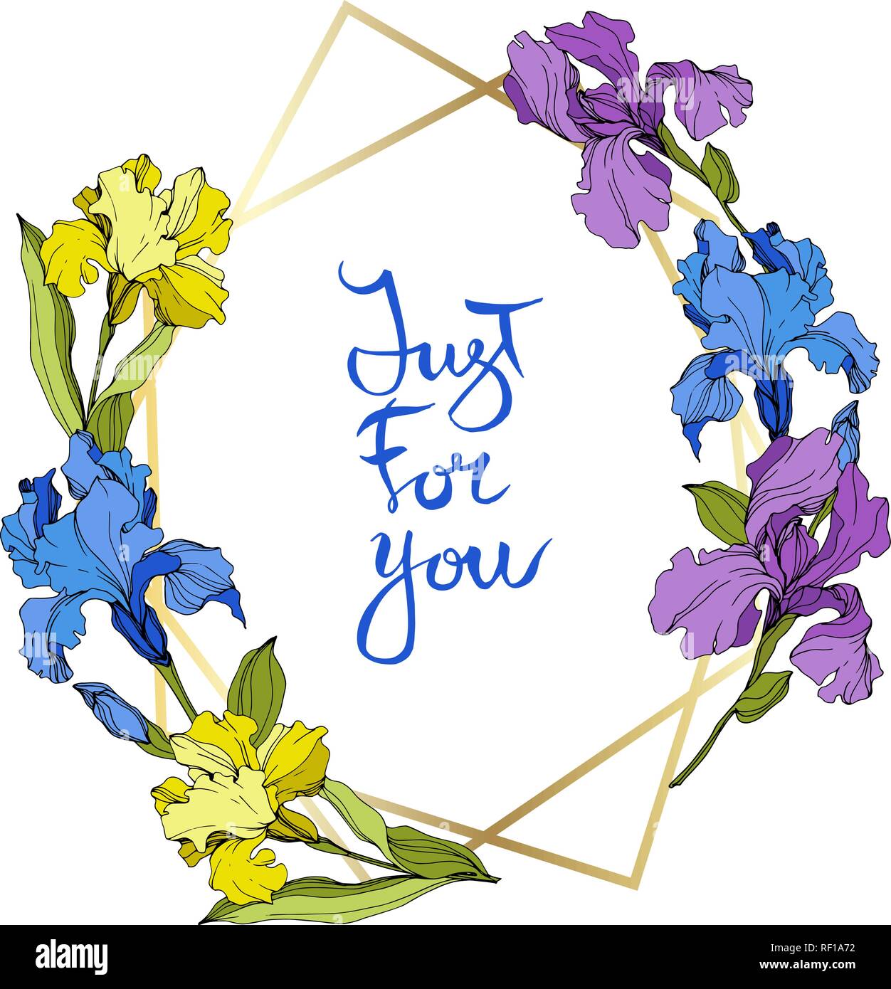 Jus vector hi-res stock photography and images - Alamy