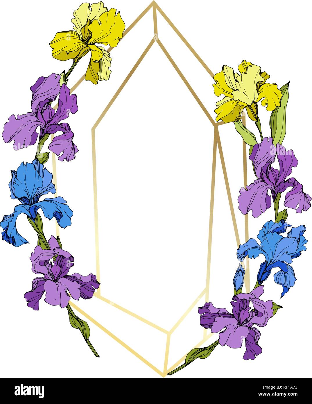 Irises border garden Stock Vector Images - Alamy