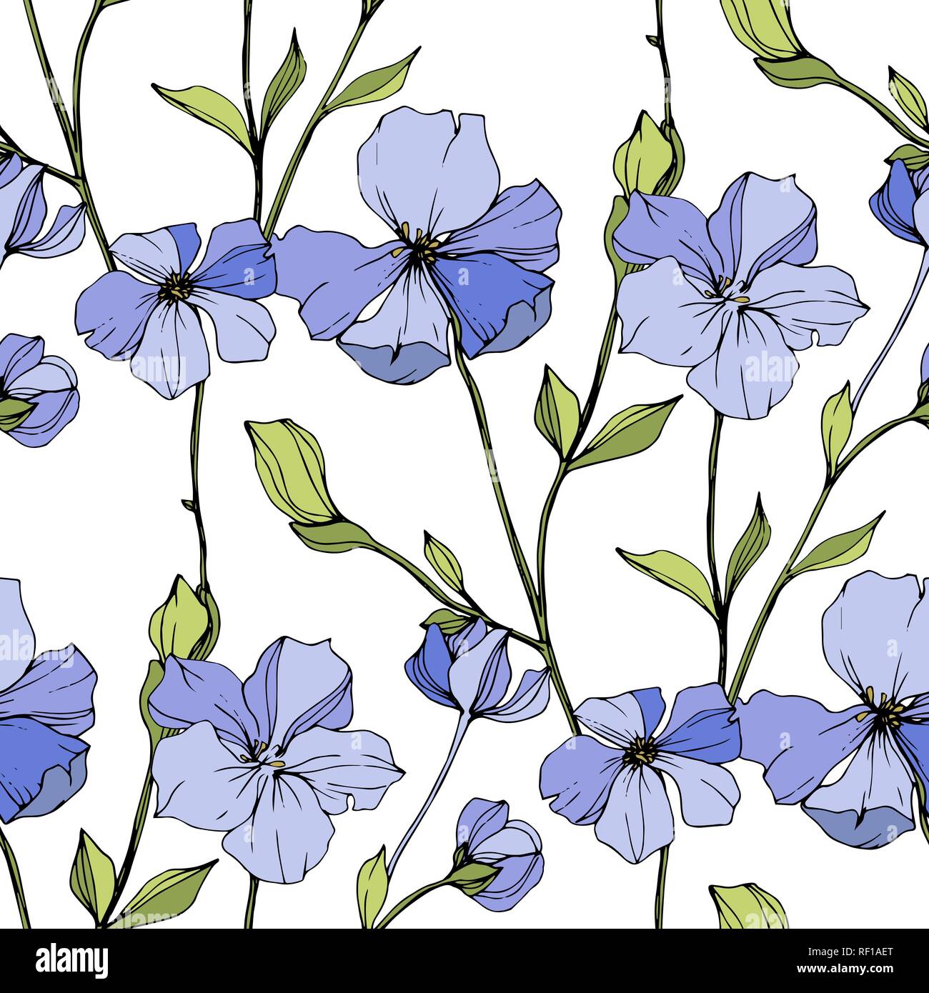 Vector Blue flax. Floral botanical flower. Wild spring leaf wildflower ...
