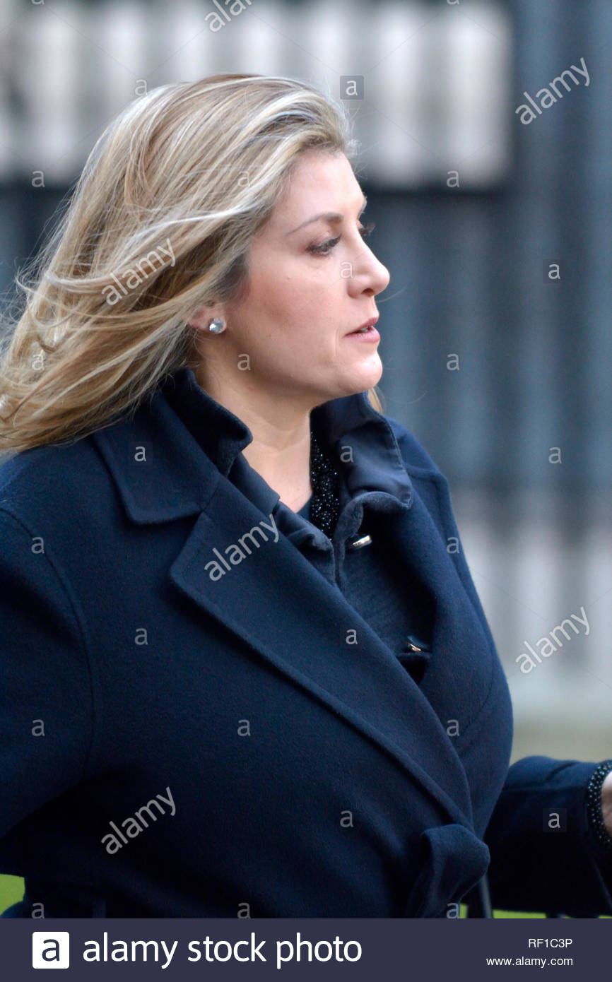 Penny Mordaunt Stock Photos & Penny Mordaunt Stock Images - Alamy