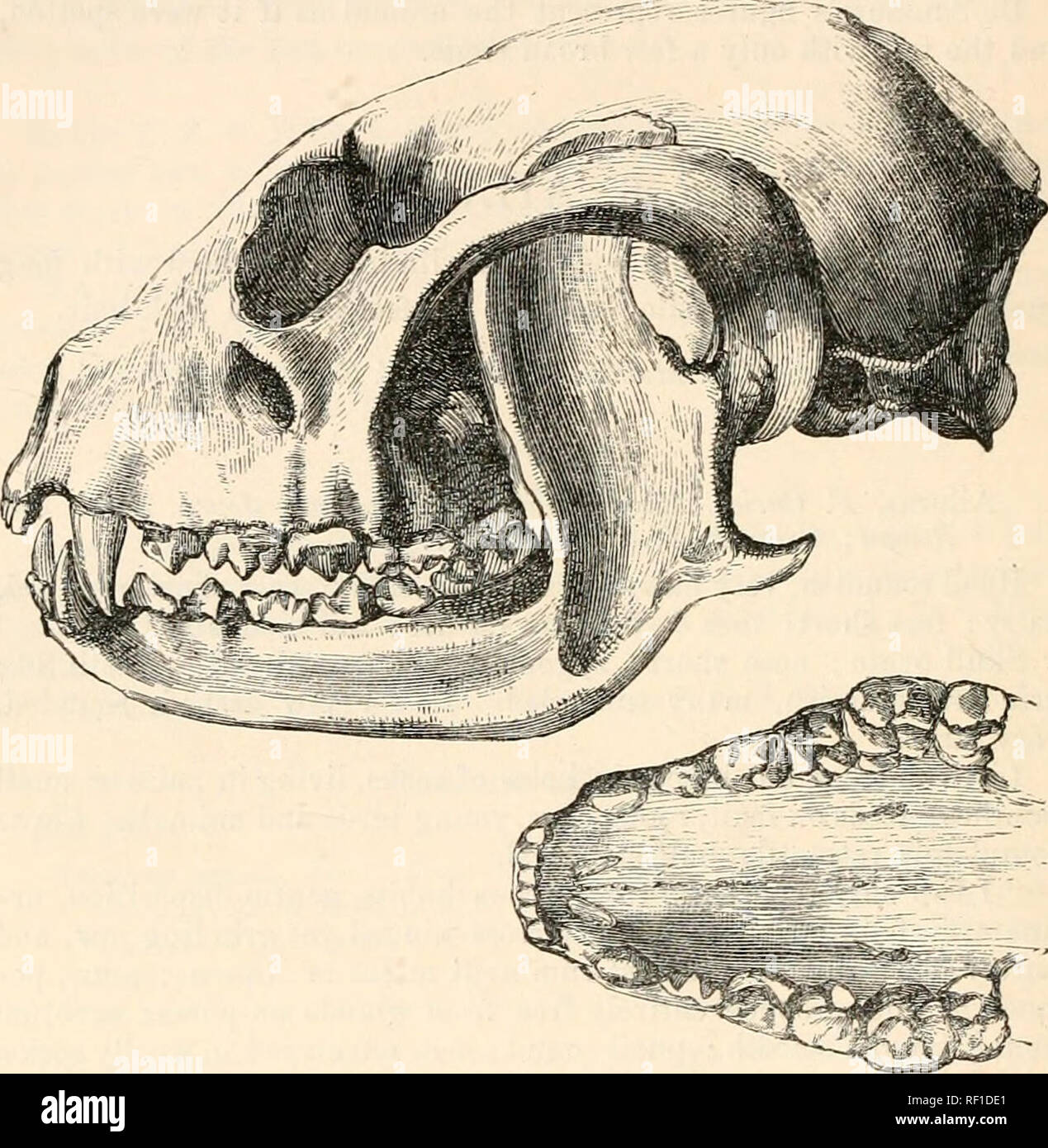 Fii triangular hi-res stock photography and images - Alamy