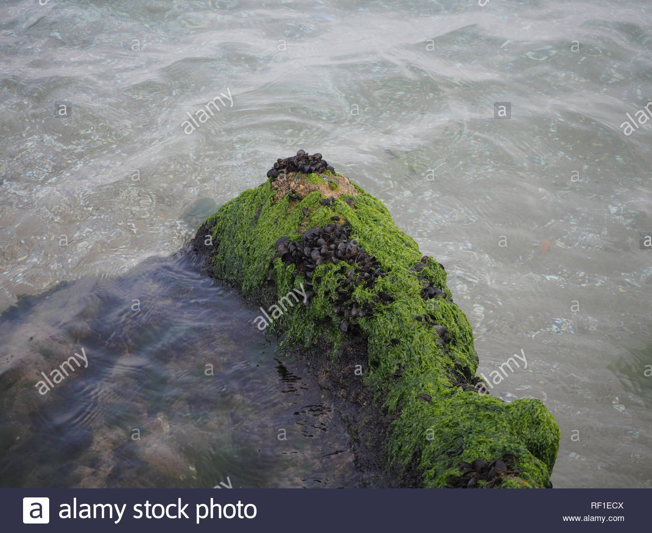 Sinked Stock Photos & Sinked Stock Images - Alamy