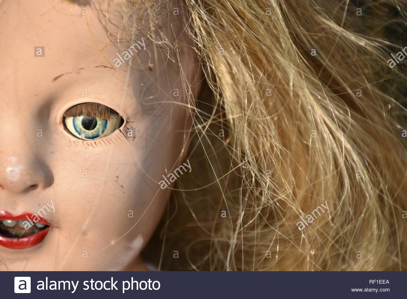 Staring Scary Eyes Stock Photos & Staring Scary Eyes Stock Images - Alamy