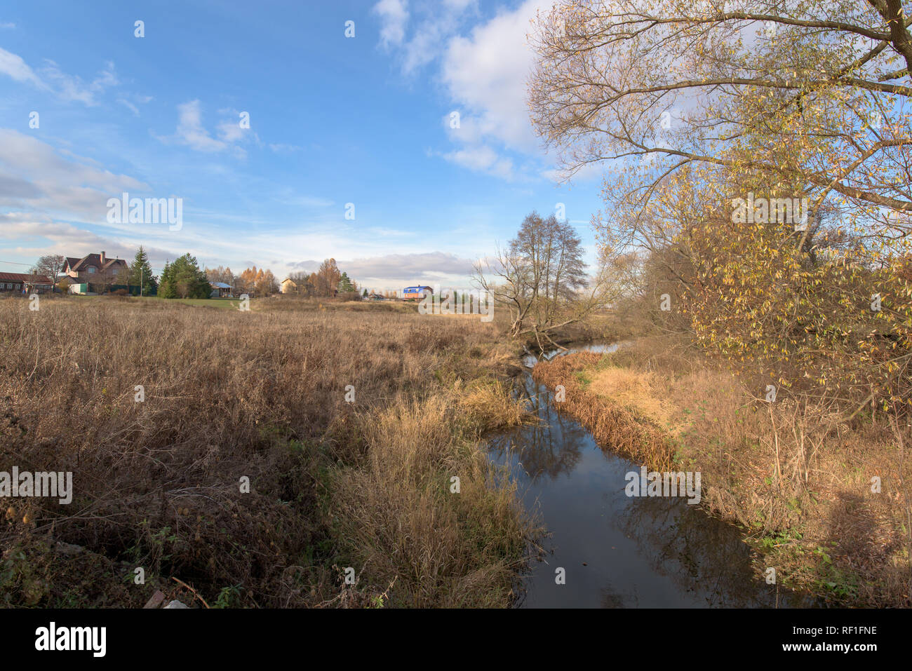 Sunny country landscape with trees and clouds Stock Photo - Alamy