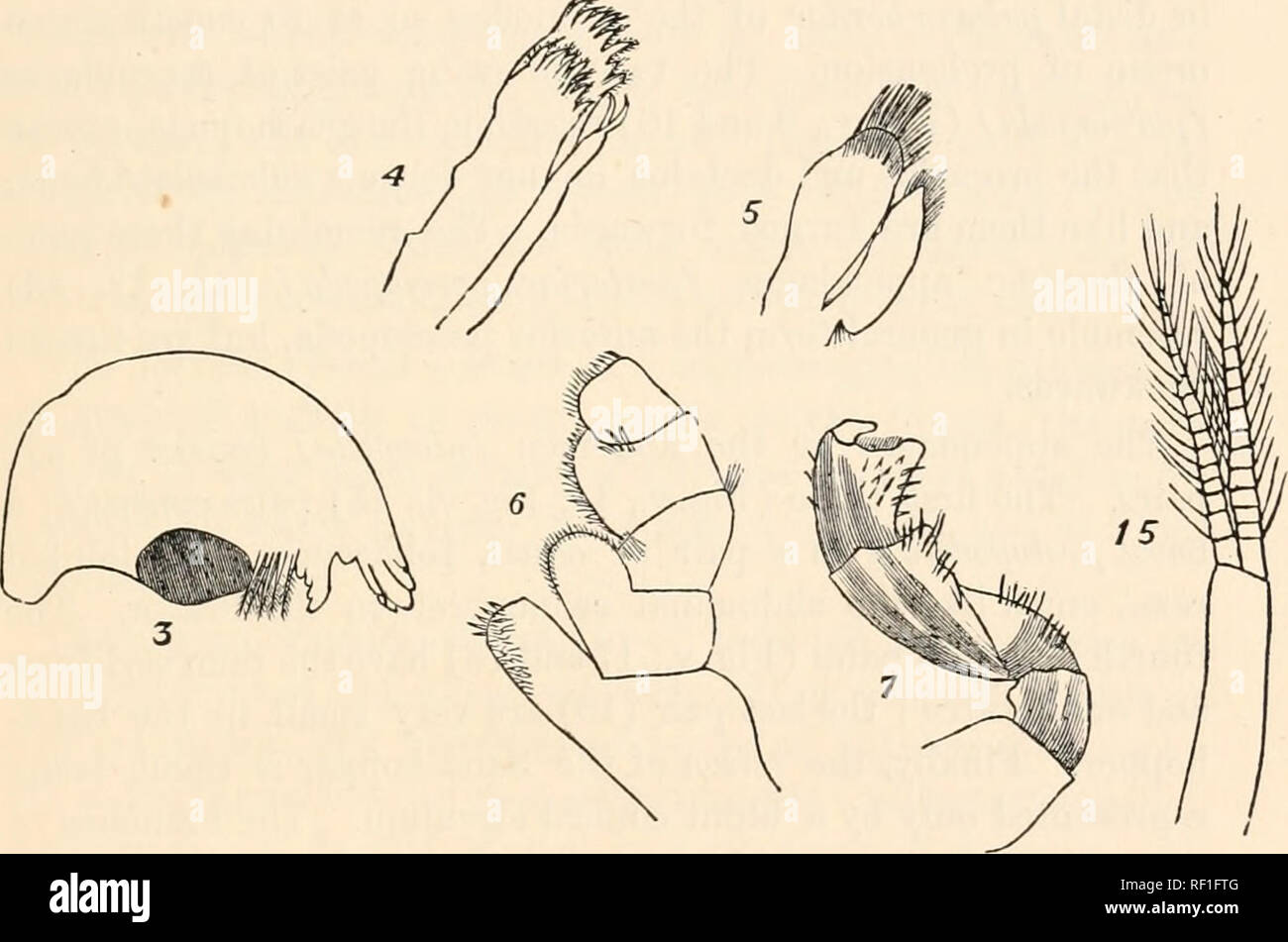 Xv11 hi-res stock photography and images - Alamy