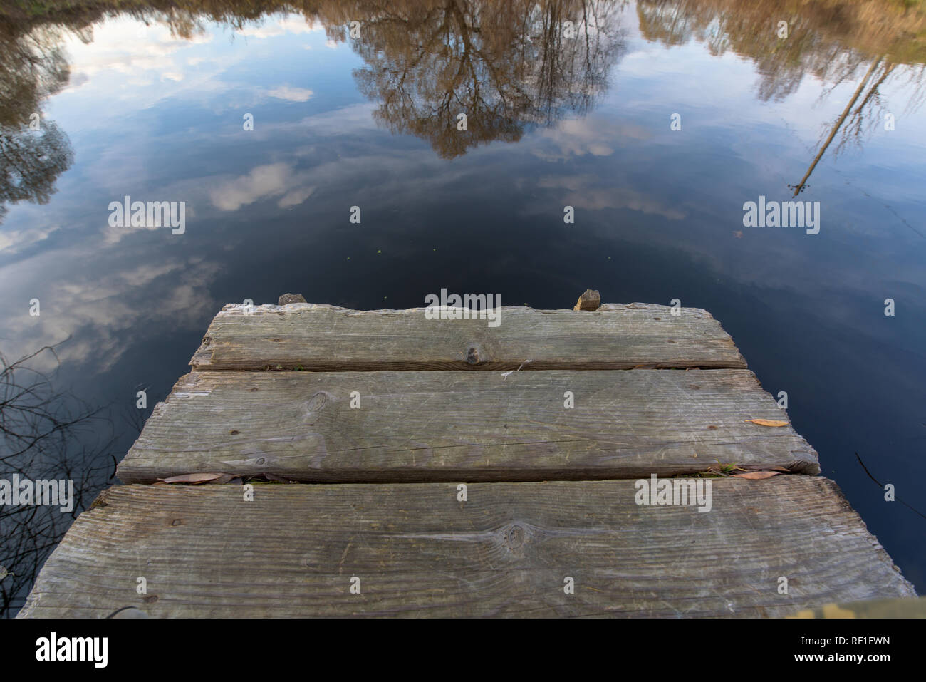 Wooden pier bridge on carl river in forest Stock Photo - Alamy
