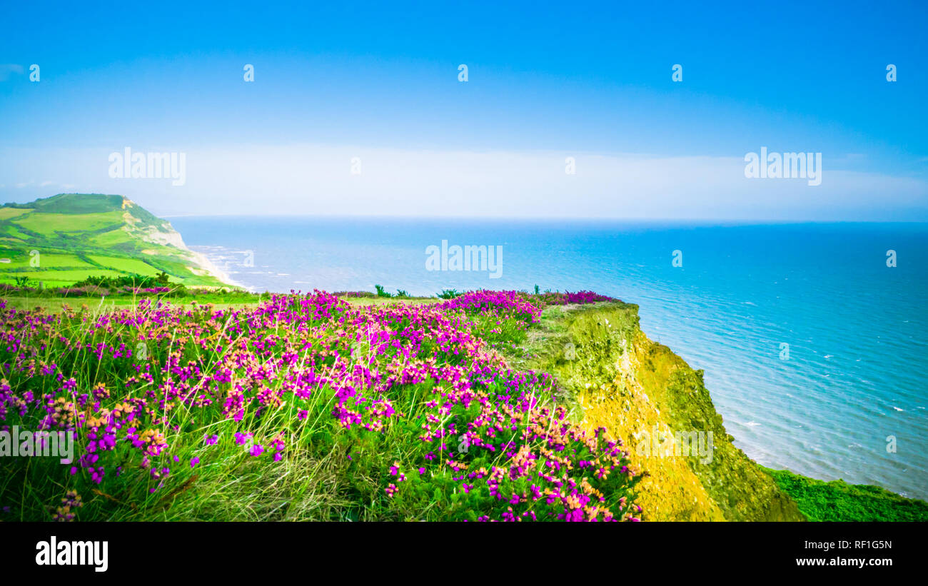 English summer holidays hi-res stock photography and images - Alamy