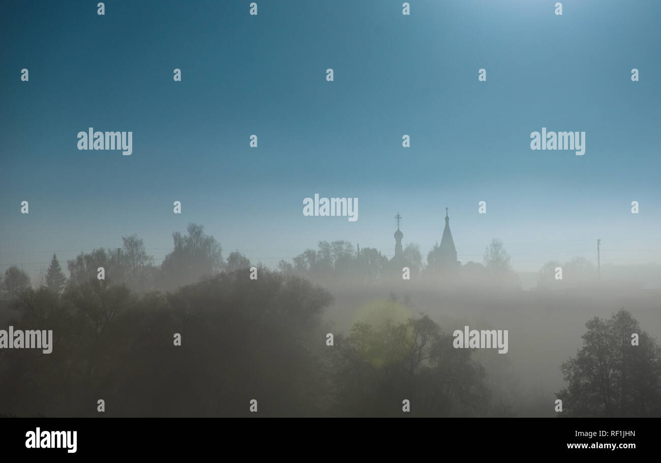 Fog in the forrest hi-res stock photography and images - Alamy