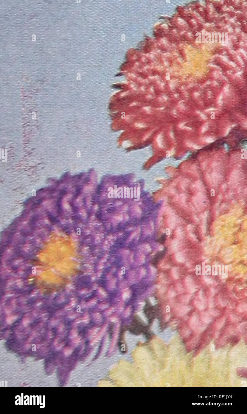 1096 form hi-res stock photography and images - Alamy