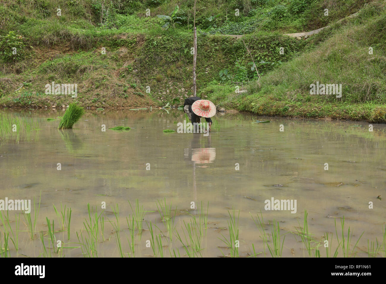 Philippines farmer hi-res stock photography and images - Alamy