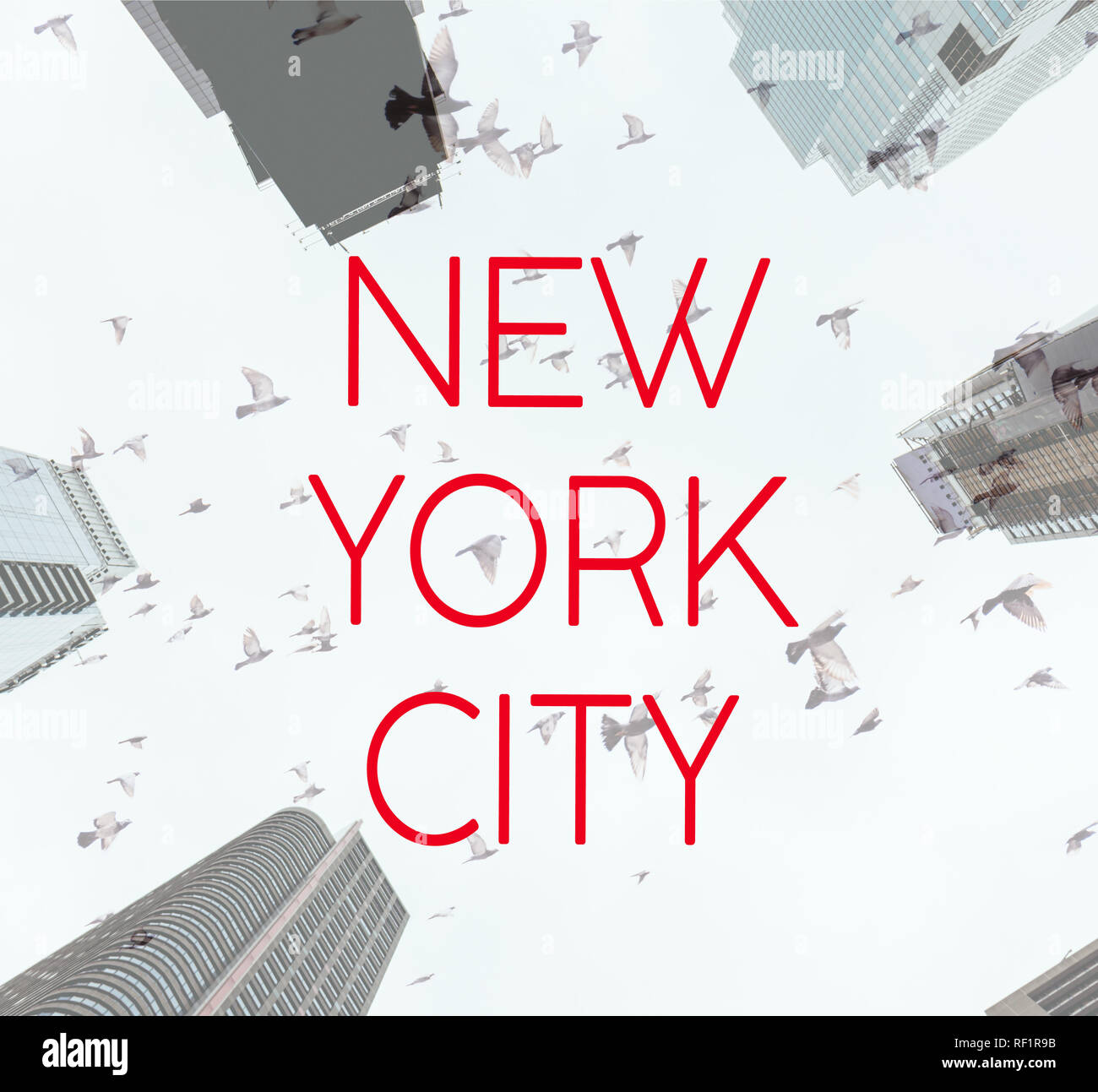 bottom view of skyscrapers and birds in sky with red "new york city ...