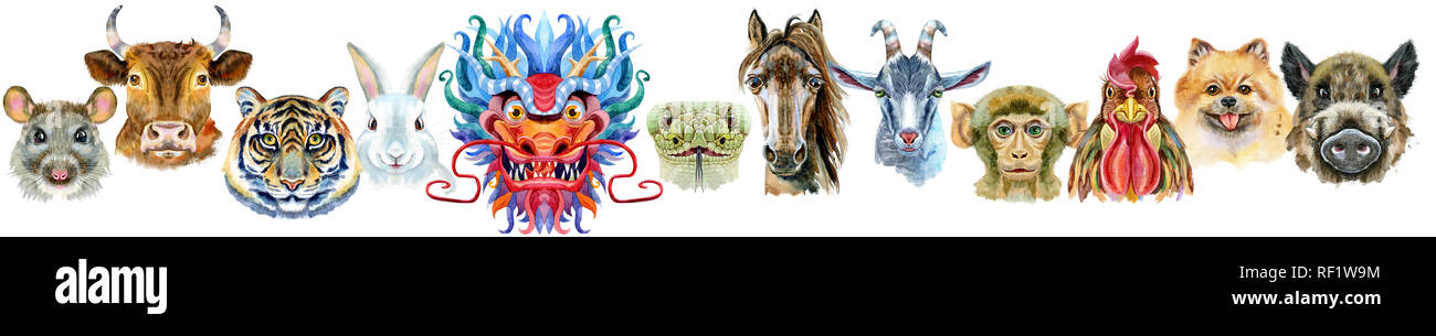 Colorful astrology set with drawings of twelve chinese zodiac animals ...