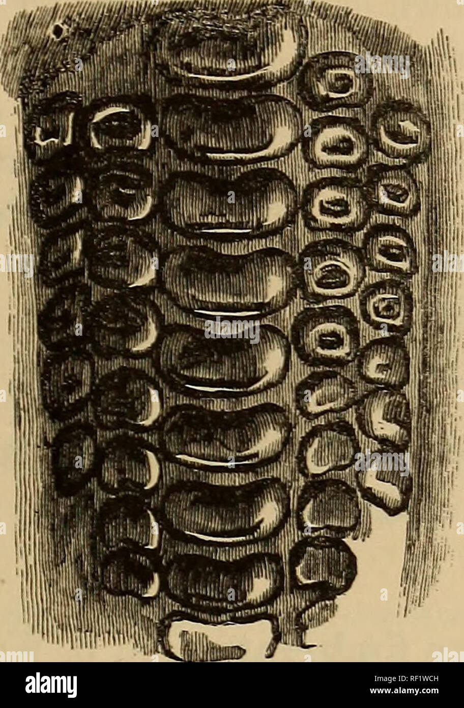 Egerton principal hi-res stock photography and images - Alamy